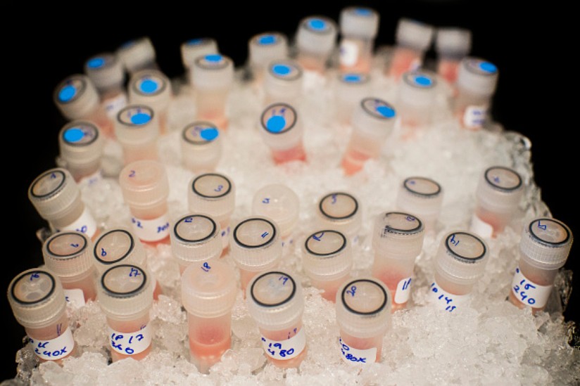 This Groundbreaking Drug is said to ‘Melt Away Cancer’ - RateMDs Health ...
